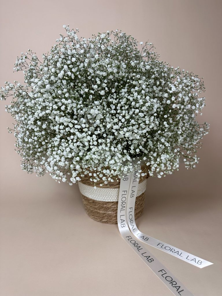 Premium - Floral Lab